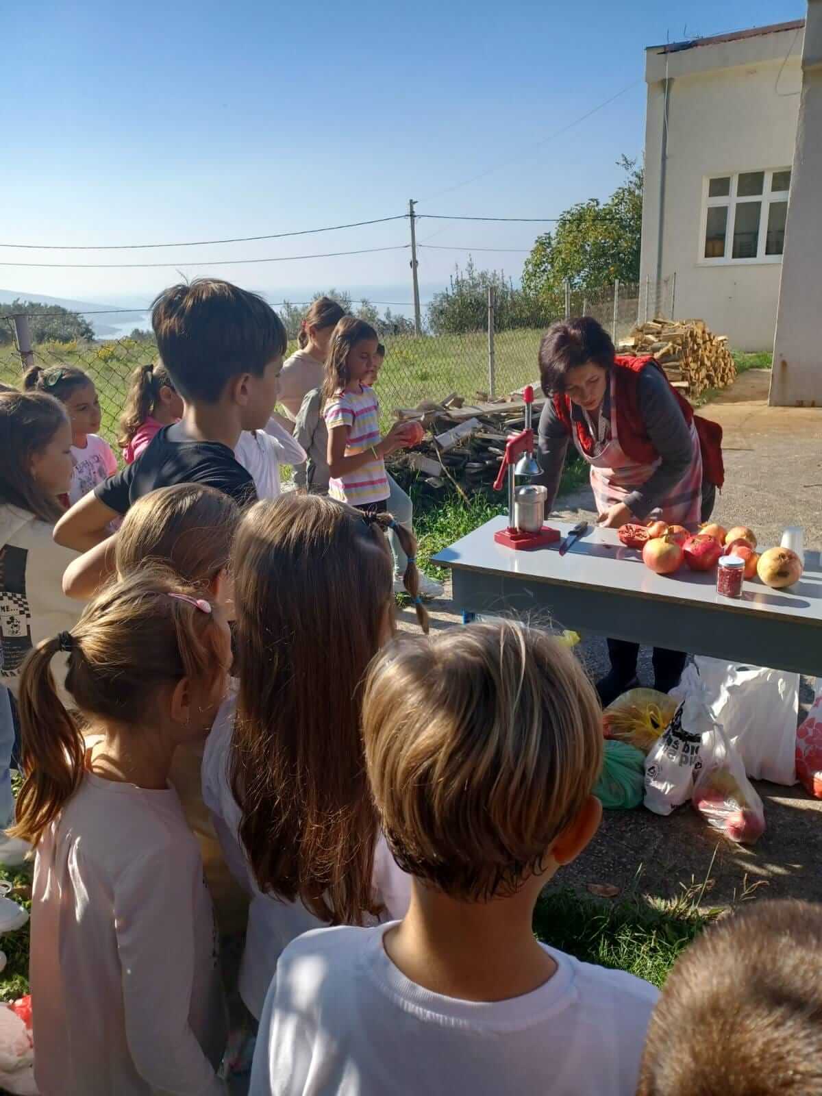 MALI PREDUZETNICI | Osnovna škola MRKOJEVIĆI